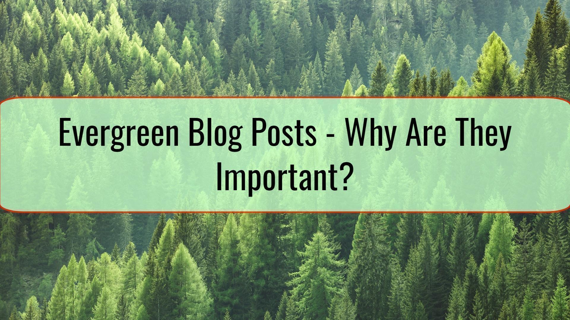 Evergreen Blog Posts - Why Are They Important? - ESBO SEO
